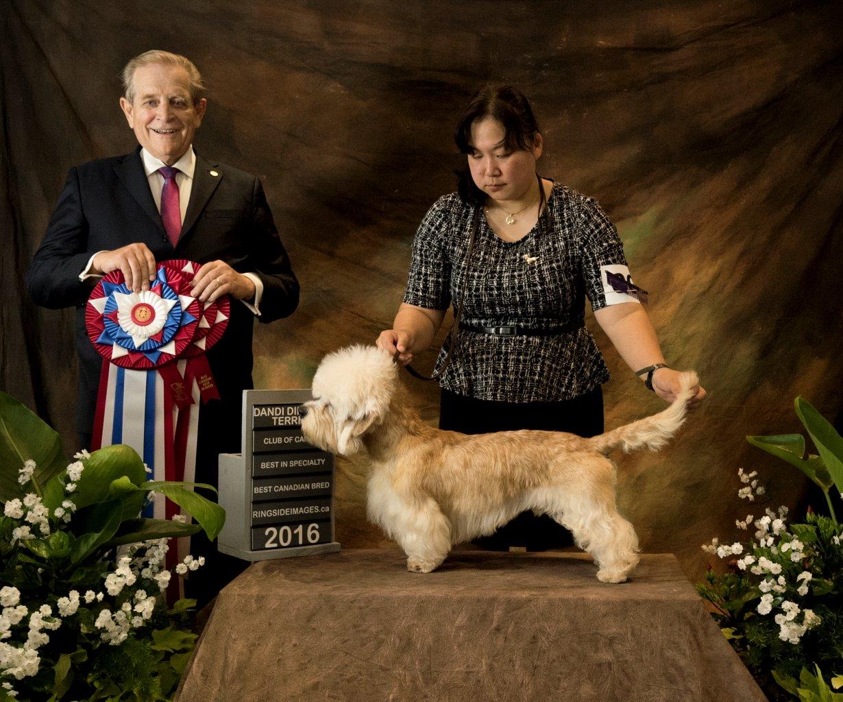 Specialty Winners – Dandie Dinmont Terrier Club of Canada